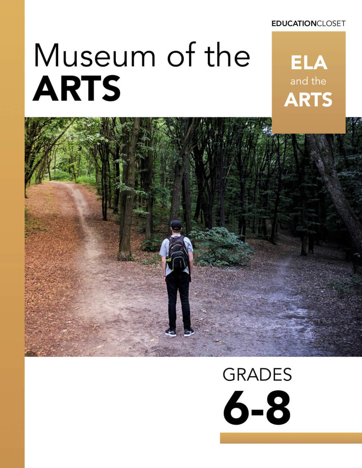 Visual Art Lesson Plans | The Institute for Arts Integration & STEAM