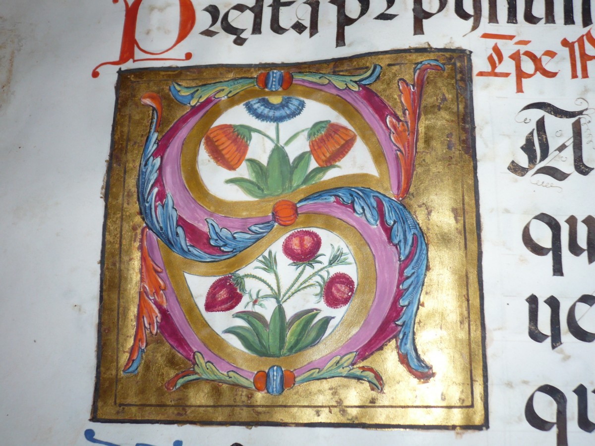 Illuminated Initials | Illuminated Letters | New Unit | Education Closet