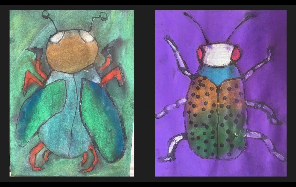 Insect Art: Chalk and Glue Technique - The Institute for Arts ...