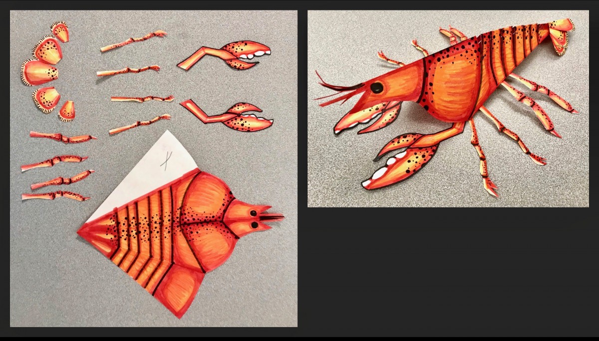Making 3D Paper Sculpture Creatures | ArtsEdLab | EducationCloset