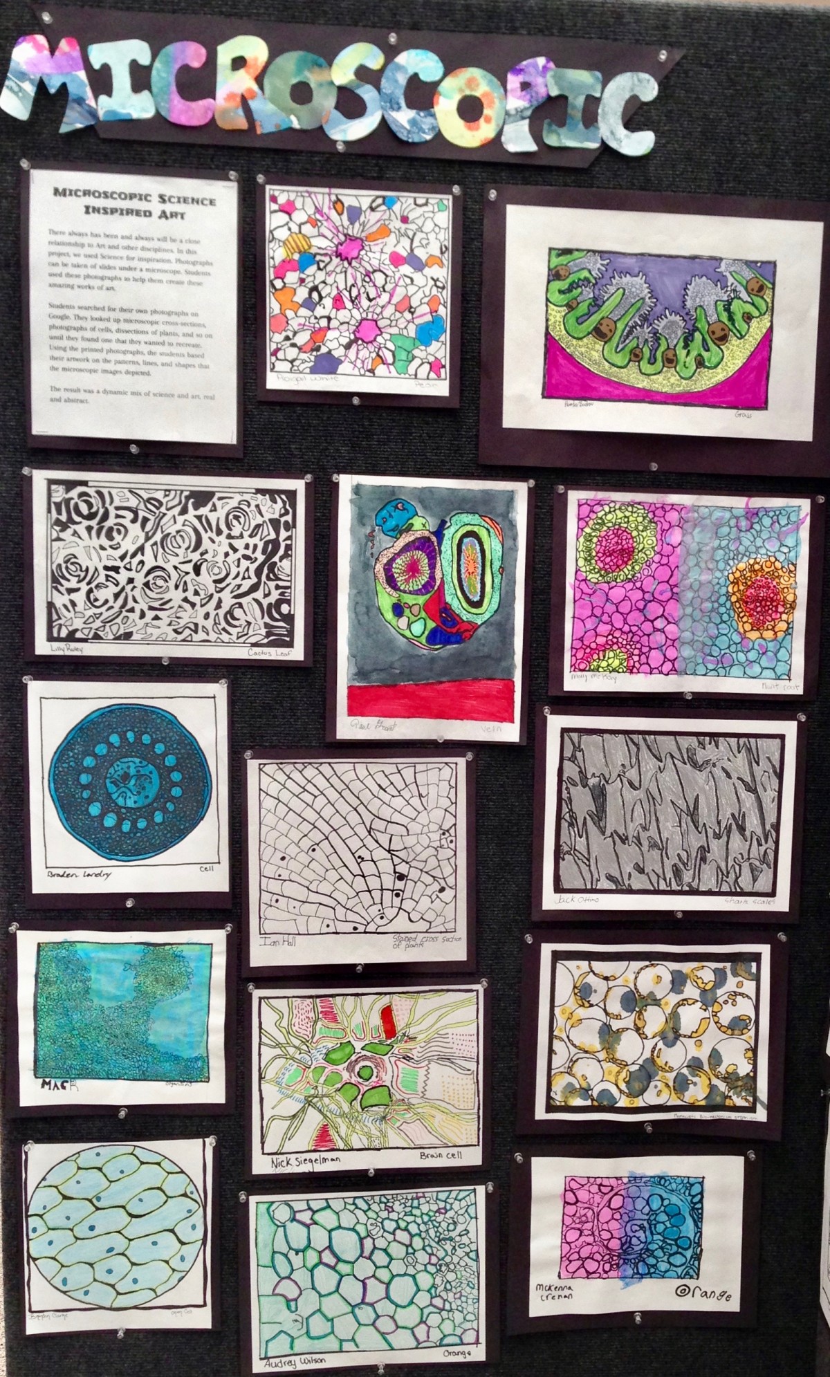 Microscopic: Science and the Elements of Art - The Institute for Arts ...