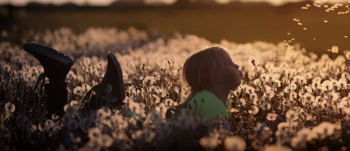 National Core Arts Standards - The Institute for Arts Integration & STEAM